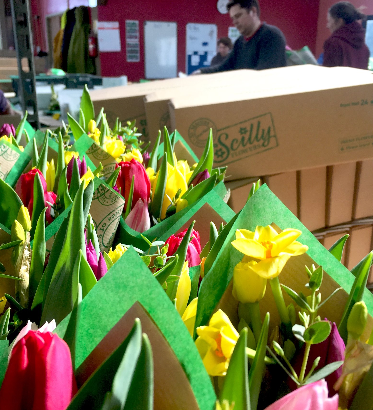 Scented Mothers Day Posy Bouquet | Scilly Flowers By Post